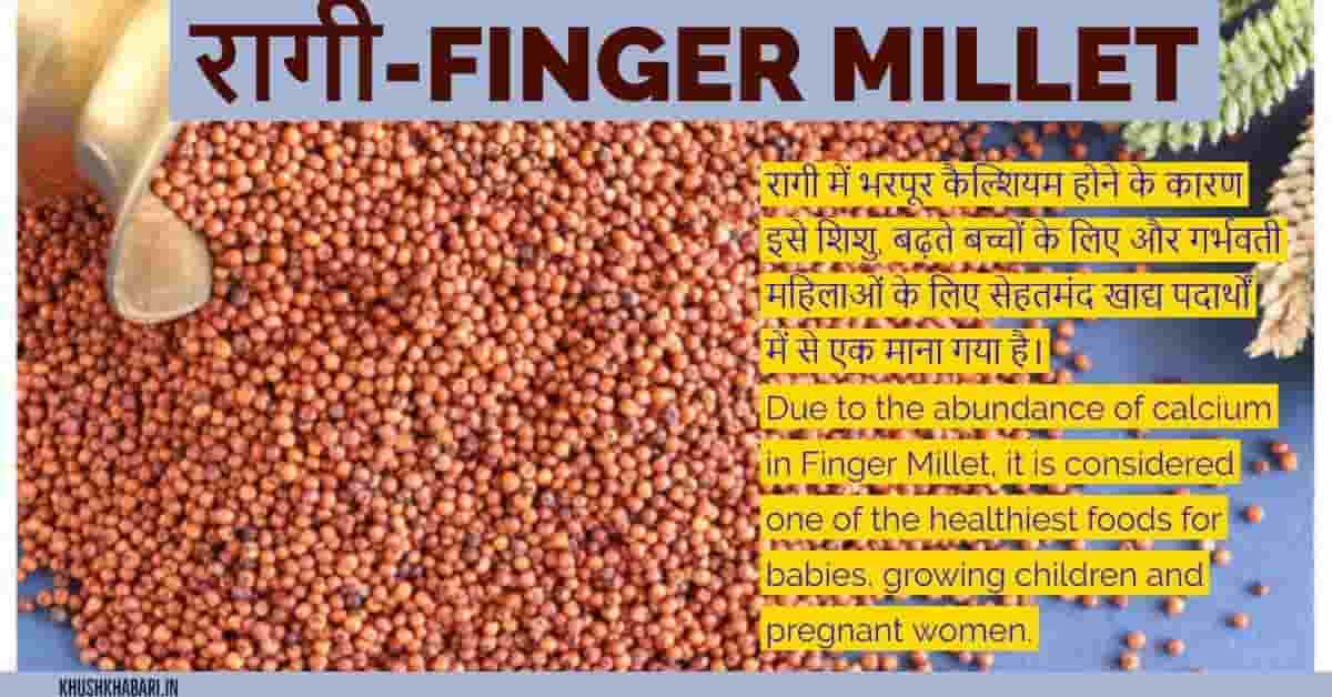 रागी के फायदे, नुकसान व उपयोग - Benefits of Ragi in Hindi